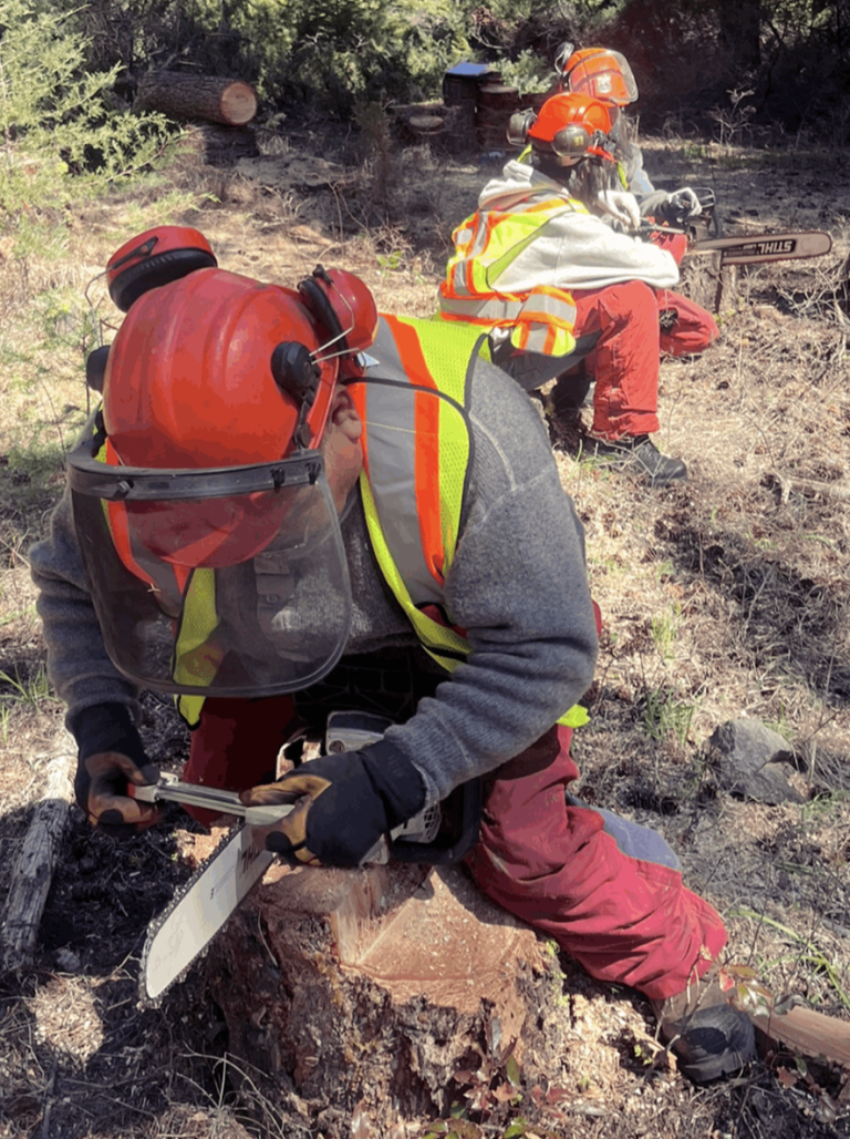 Training - Apex Forest Services