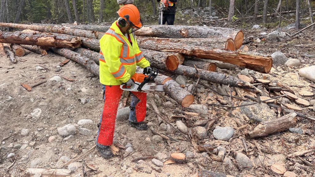 Power Saw Operations - April 1st & 2nd, 2026 - Apex Forest Services